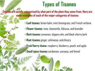 TISANES_2020.pptx Decoding the Tisane Experience | PPTX