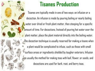 TISANES_2020.pptx Decoding the Tisane Experience | PPT