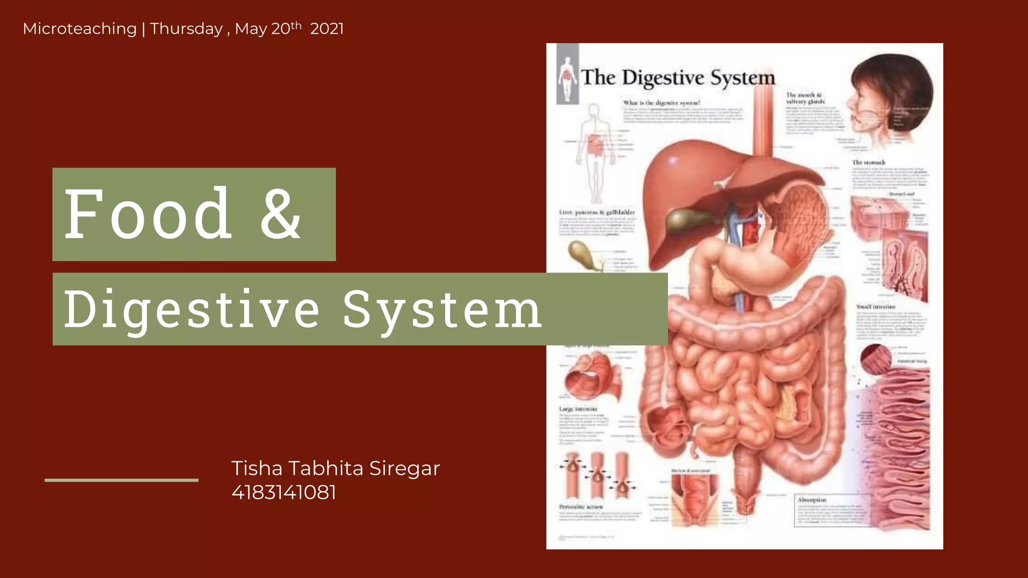 Biology: Digestive System | PPTX