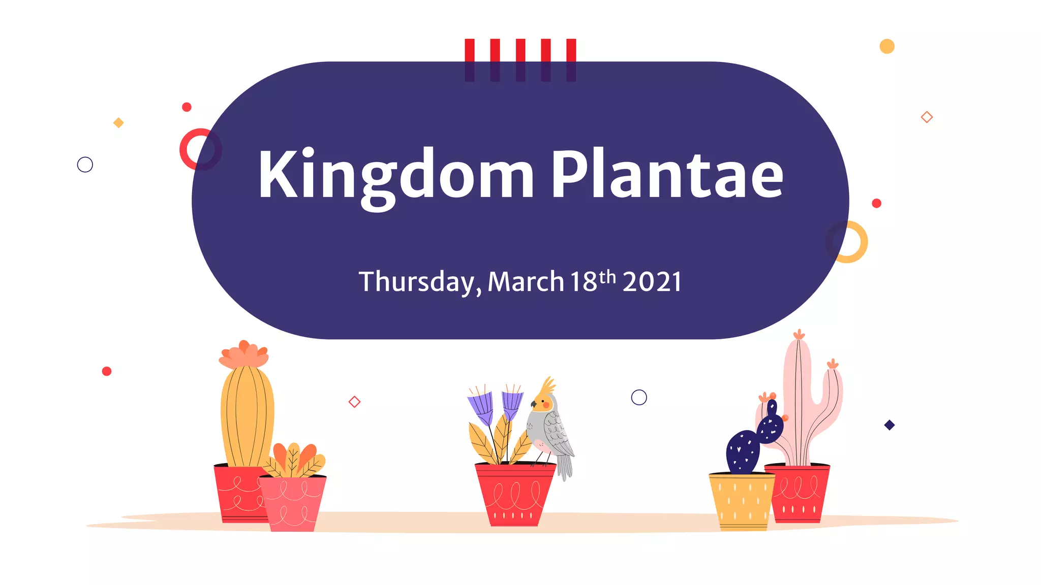 Biology: Kingdom Plantae | PDF