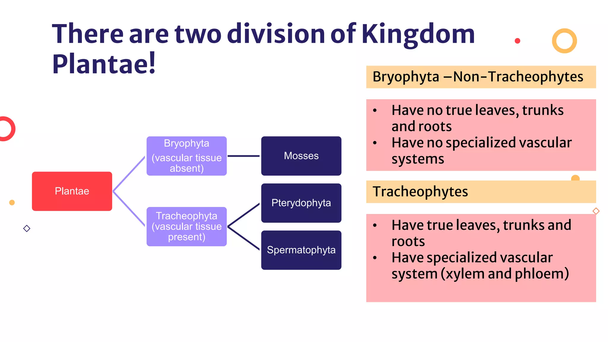 Biology: Kingdom Plantae | PDF