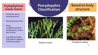 Biology: Kingdom Plantae | PDF
