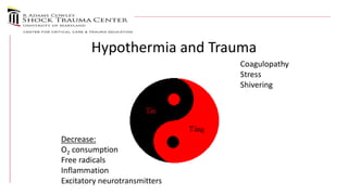 Exsanguinating trauma - from CPR to EPR | PDF