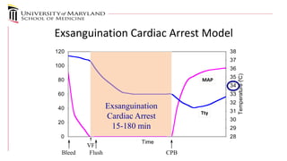 Exsanguinating trauma - from CPR to EPR | PDF