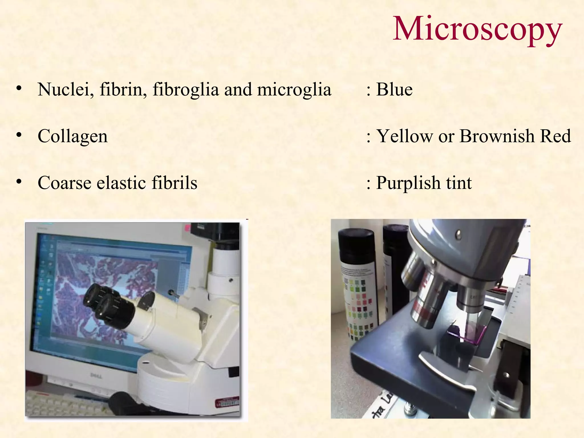 Tissue Processing In Histopathology Ppt