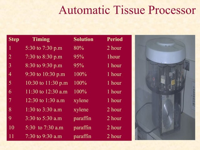 Tissue Processing in Histopathology | PPT