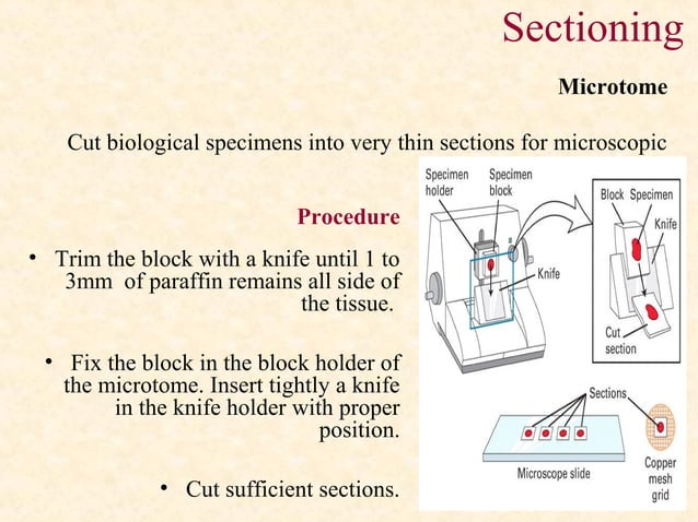Tissue Processing In Histopathology Ppt