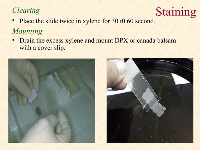 Tissue Processing in Histopathology | PPT