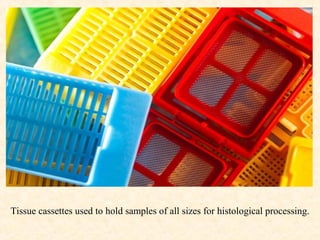 Tissue Processing in Histopathology | PPT