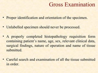 Tissue Processing in Histopathology | PPT