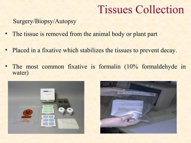 Tissue Processing in Histopathology