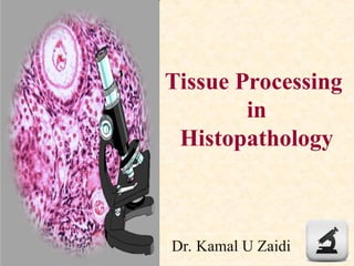tissue processing in department of Pathology | PPT