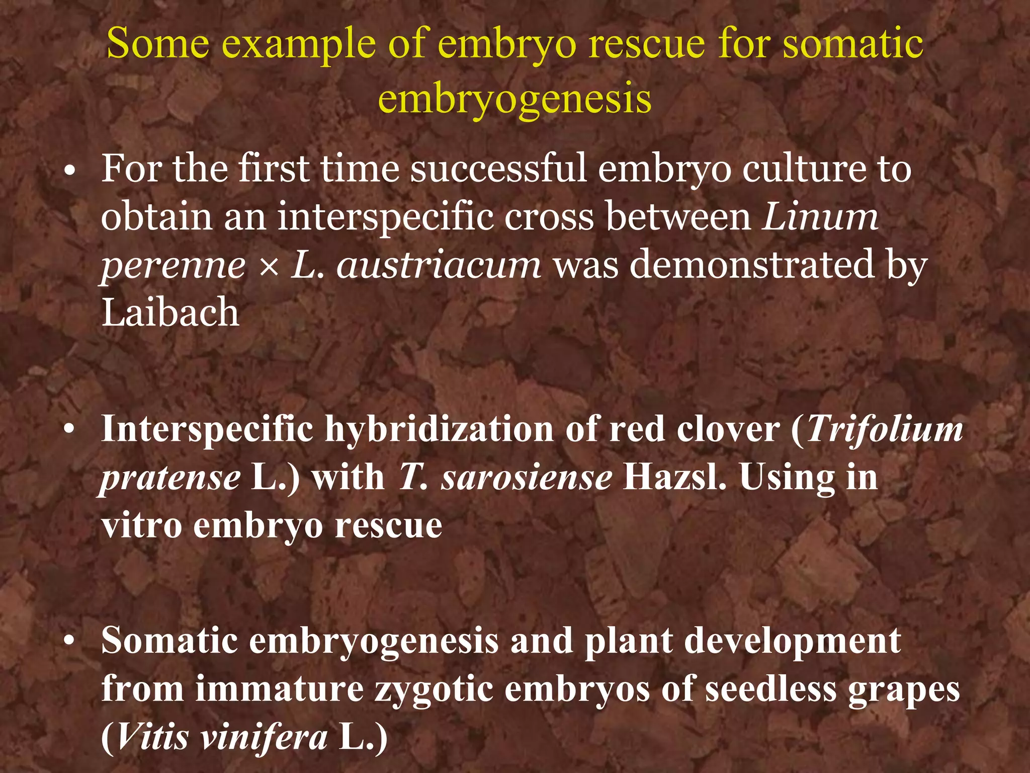 somatic emryogenesis and synthetic seed production | PPTX