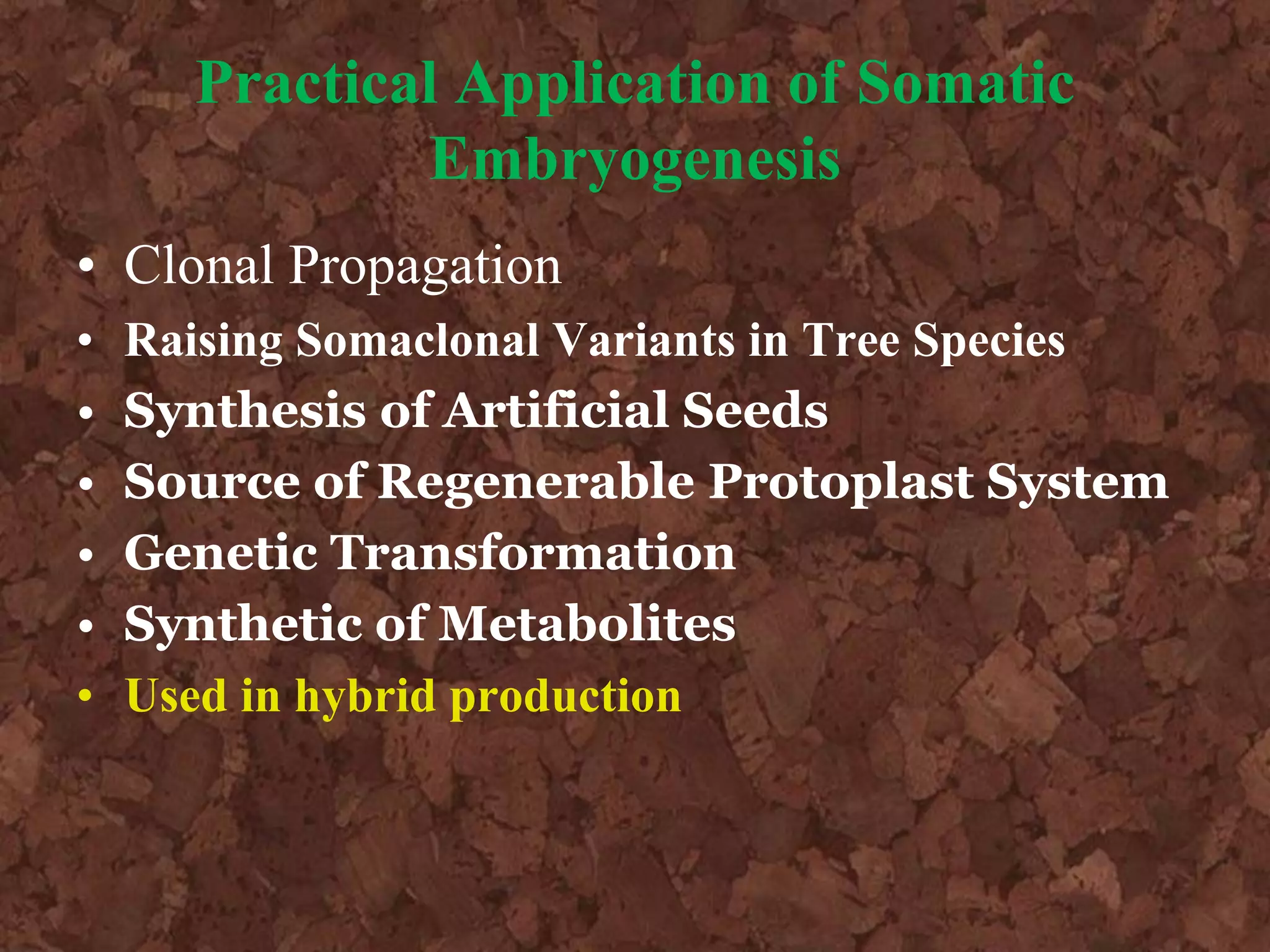 somatic emryogenesis and synthetic seed production | PPTX