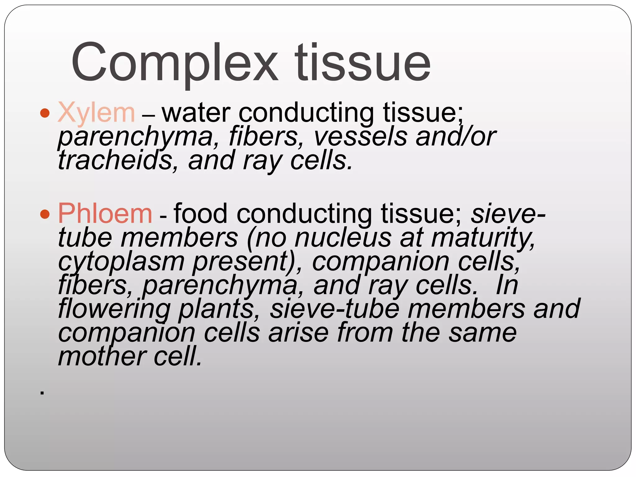 plant Tissue | PPTX