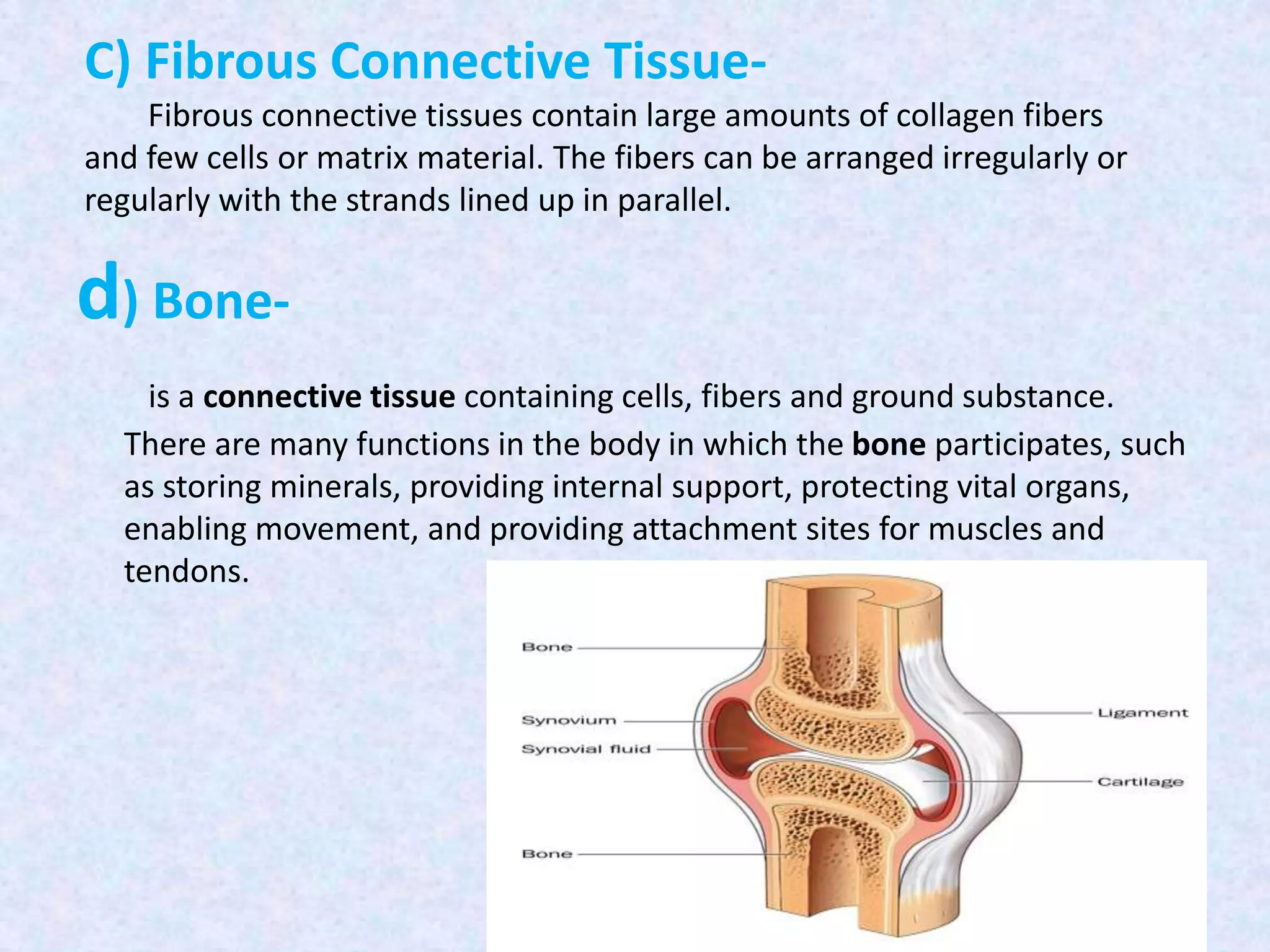 Tissue | PPTX