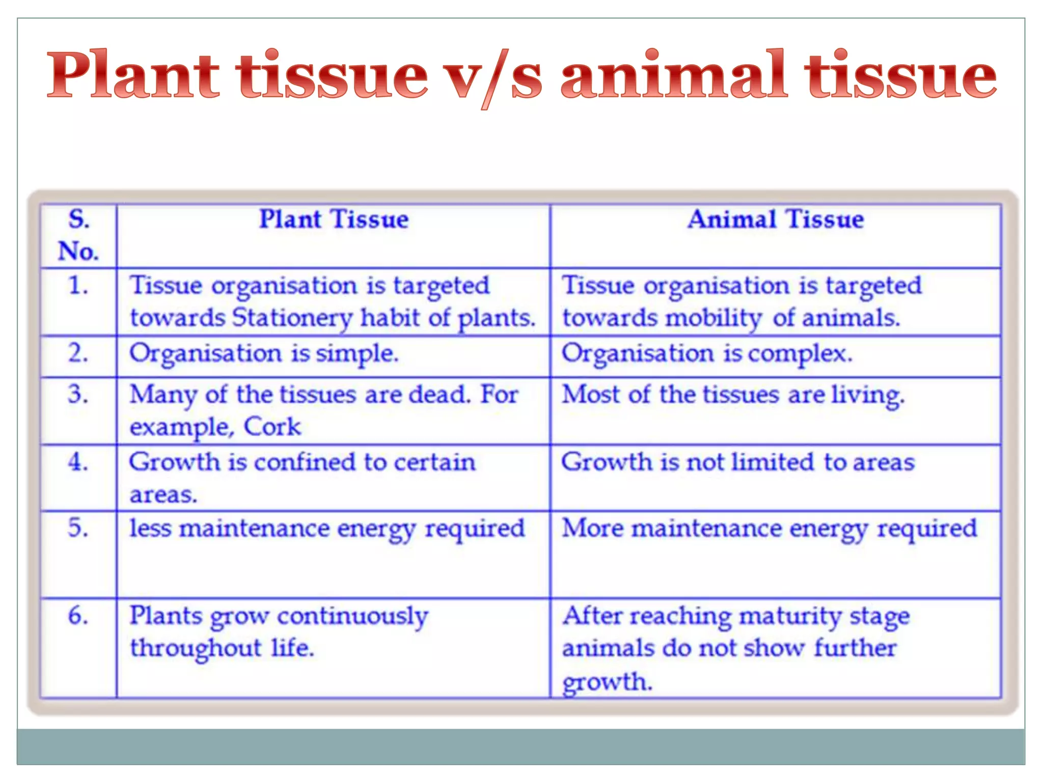 Tissue class 9 | PPTX