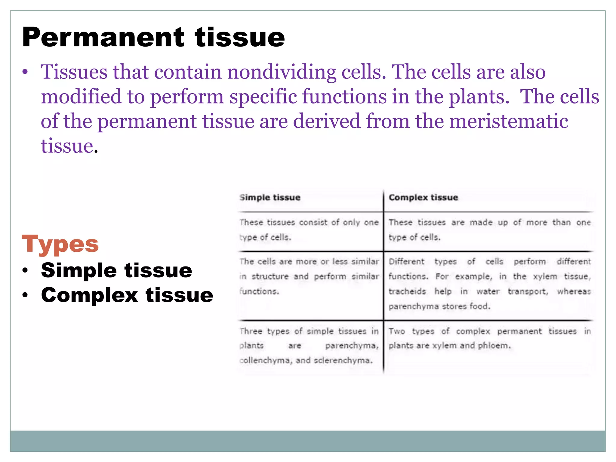 Tissue class 9 | PPTX