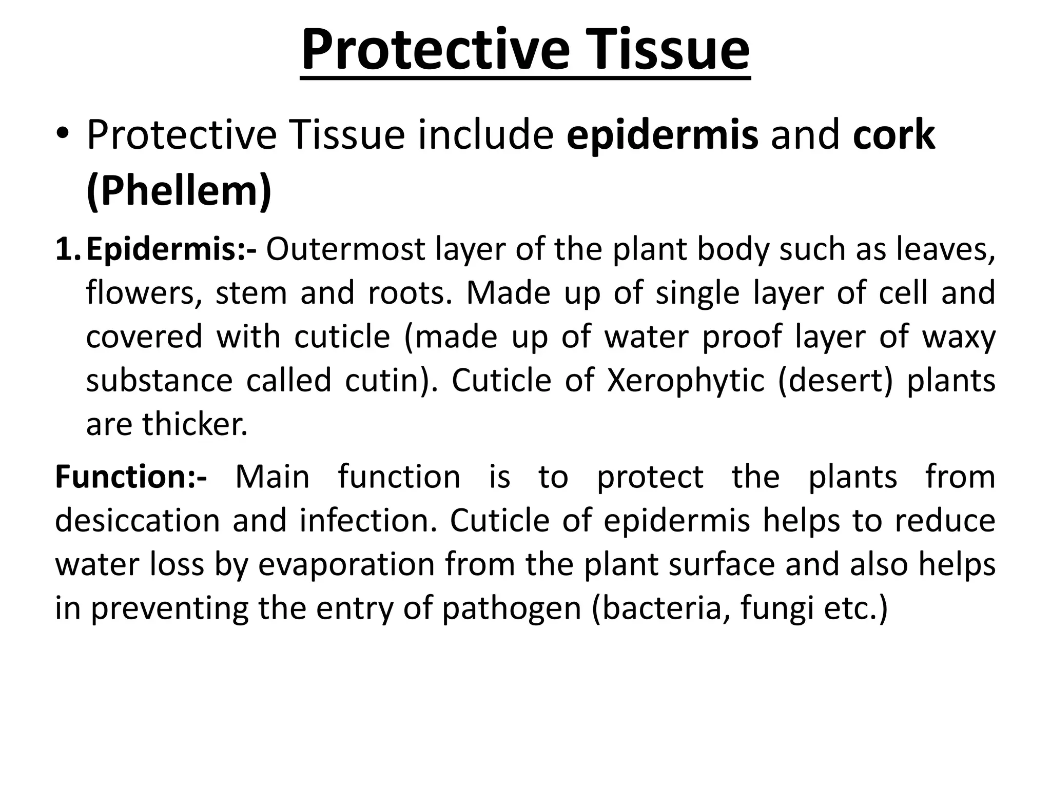 "Tissues" Chapter:-6 Class 9 | PPTX | Gardening | Home & Garden