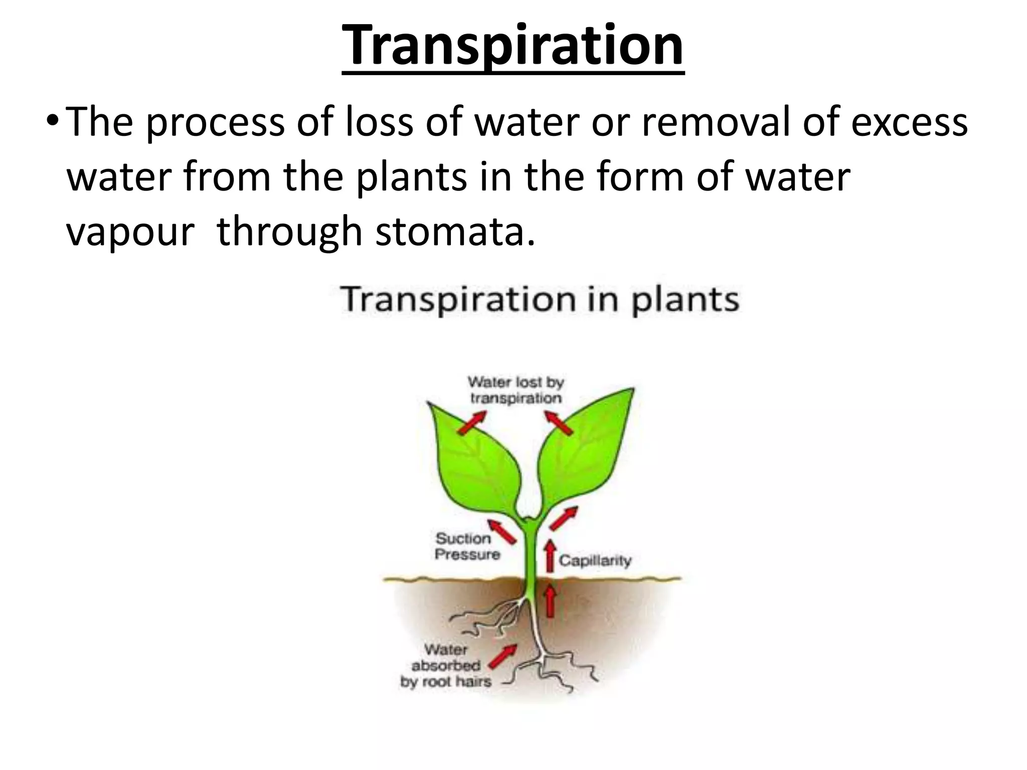 "Tissues" Chapter:-6 Class 9 | PPTX | Gardening | Home & Garden
