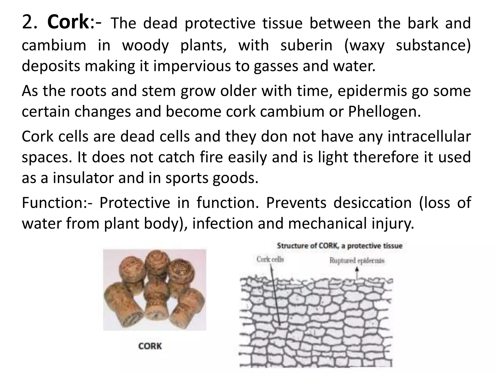"Tissues" Chapter:-6 Class 9 | PPTX