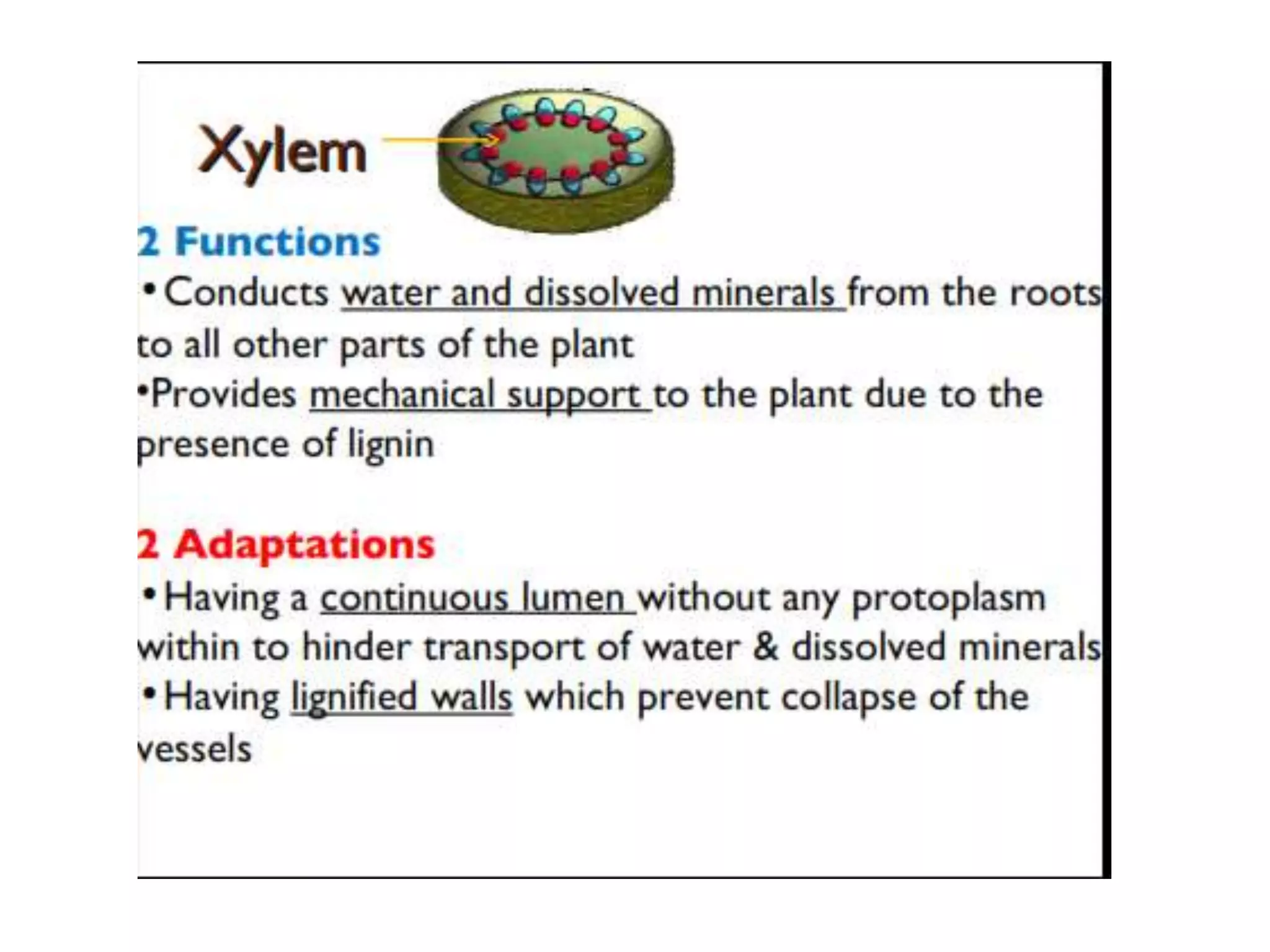 "Tissues" Chapter:-6 Class 9 | PPTX | Gardening | Home & Garden