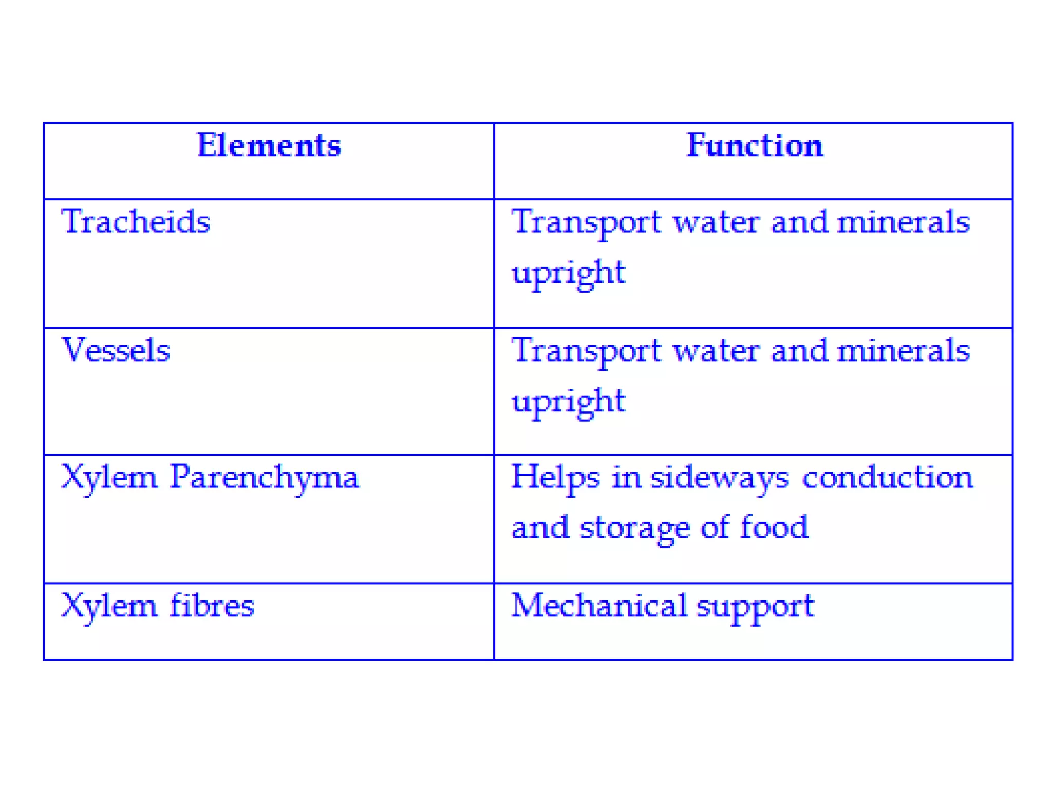 "Tissues" Chapter:-6 Class 9 | PPTX