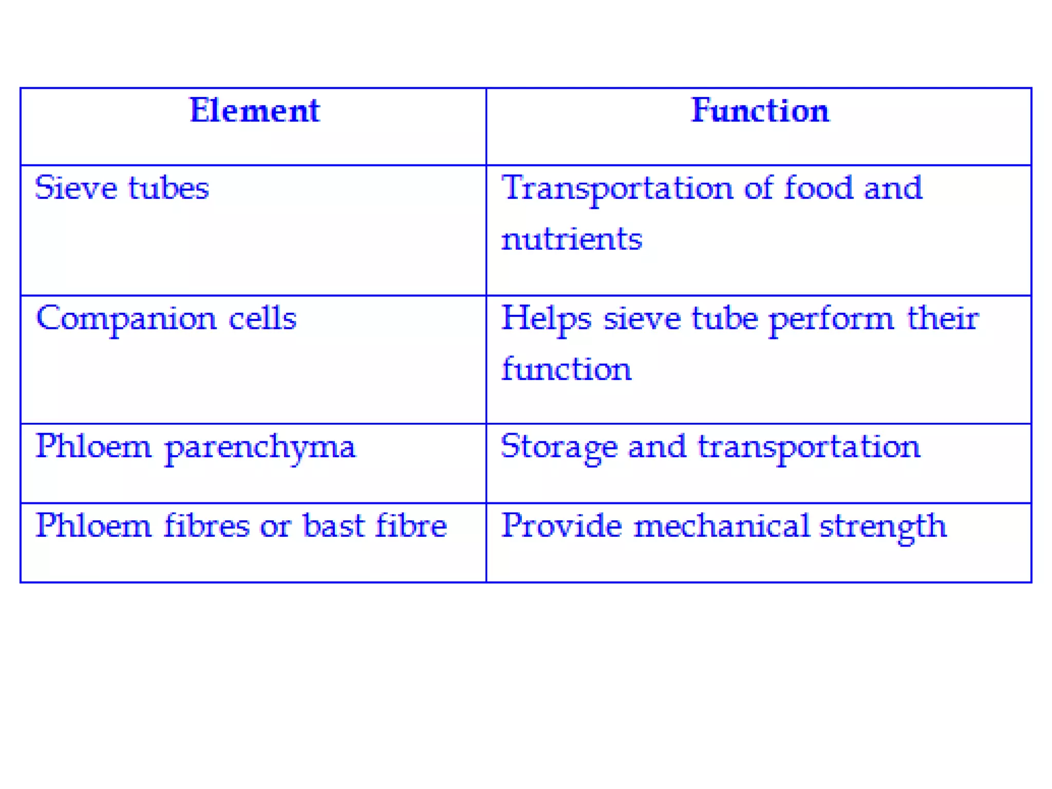 "Tissues" Chapter:-6 Class 9 | PPTX