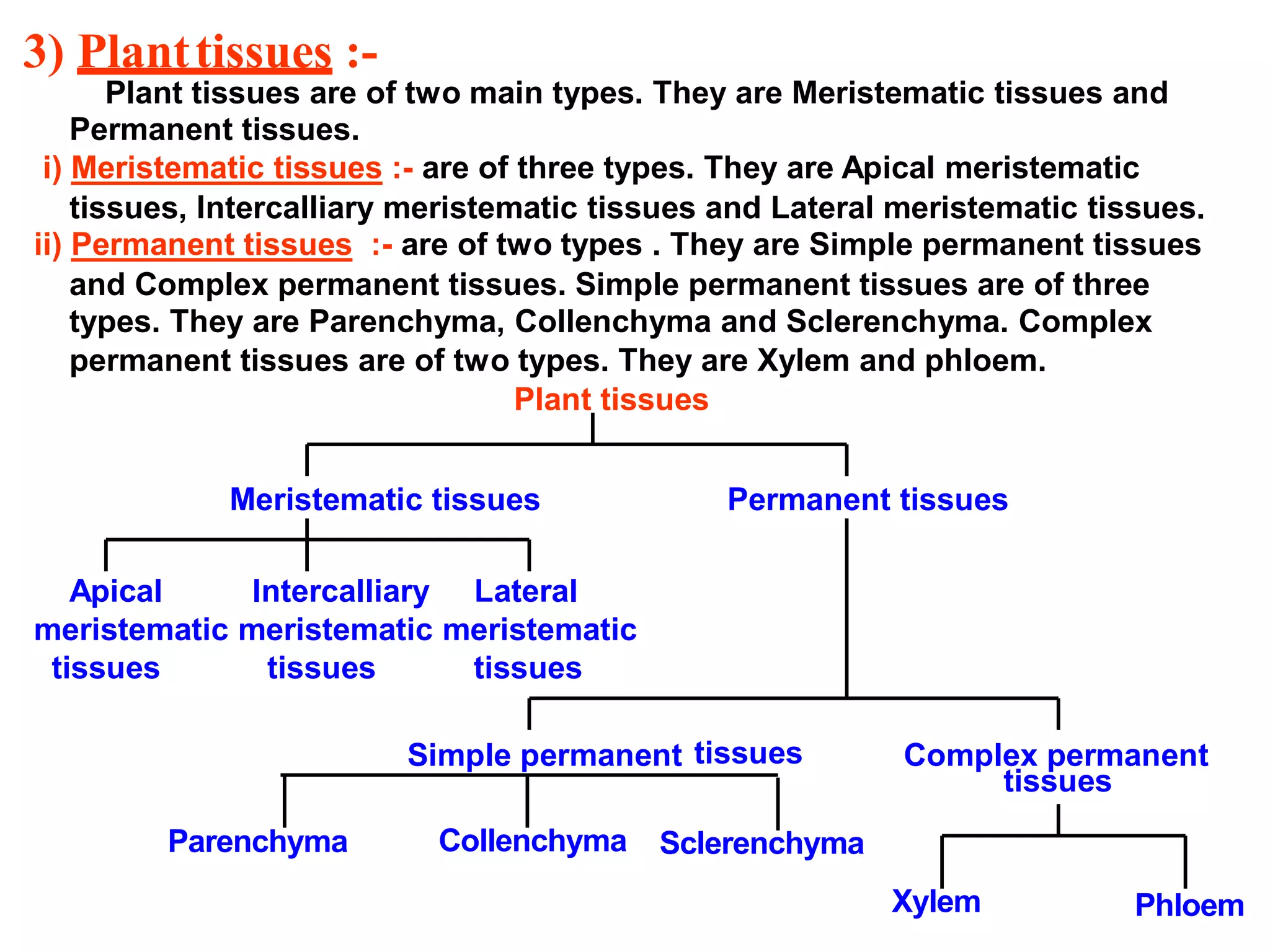 "Tissues" Chapter:-6 Class 9 | PPTX | Gardening | Home & Garden