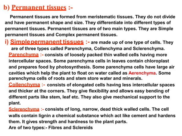 "Tissues" Chapter:-6 Class 9 | PPTX | Gardening | Home & Garden