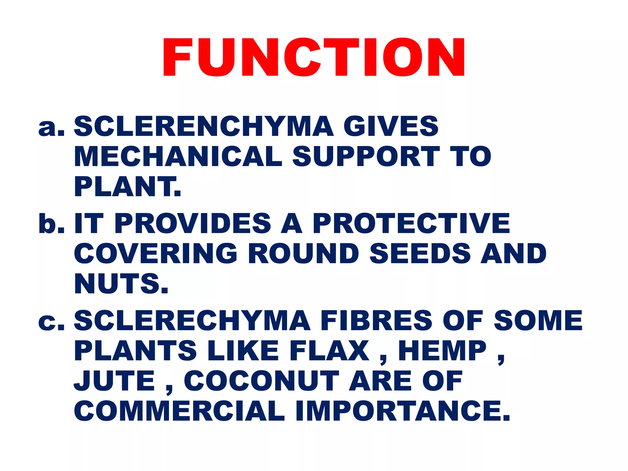 TISSUE- SIMPLE PERMANENT TISSUE | PPTX