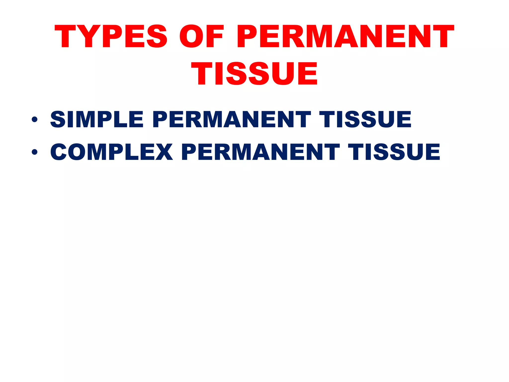 TISSUE- SIMPLE PERMANENT TISSUE | PPTX