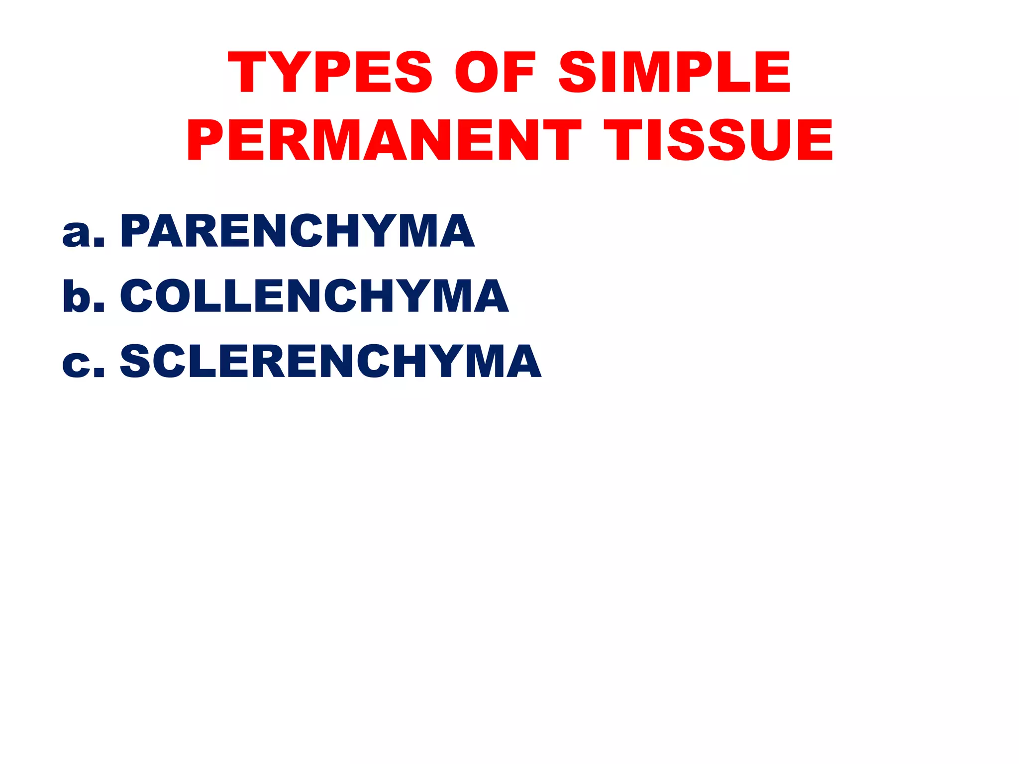 TISSUE- SIMPLE PERMANENT TISSUE | PPTX