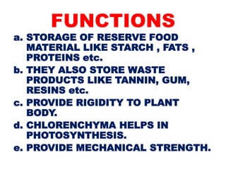 TISSUE- SIMPLE PERMANENT TISSUE | PPTX