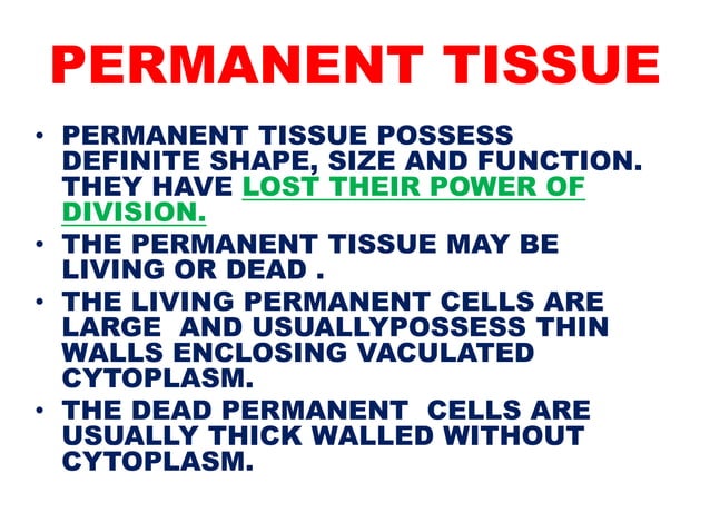 TISSUE- SIMPLE PERMANENT TISSUE | PPTX | Biological Sciences | Science
