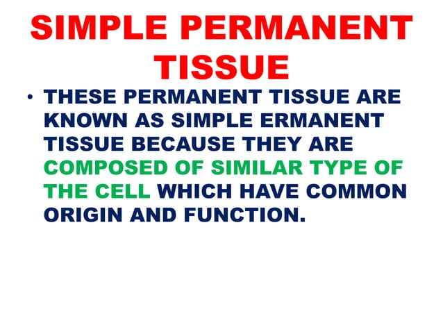 TISSUE- SIMPLE PERMANENT TISSUE | PPTX | Biological Sciences | Science