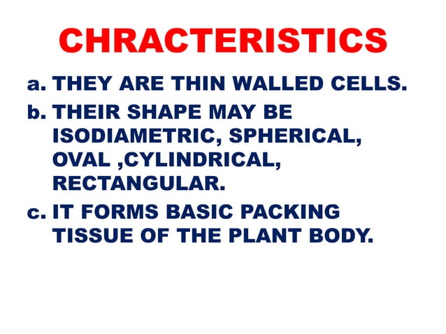 TISSUE- SIMPLE PERMANENT TISSUE | PPTX | Biological Sciences | Science