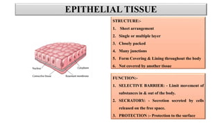 TISSUE.pptx