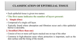 TISSUE.pptx