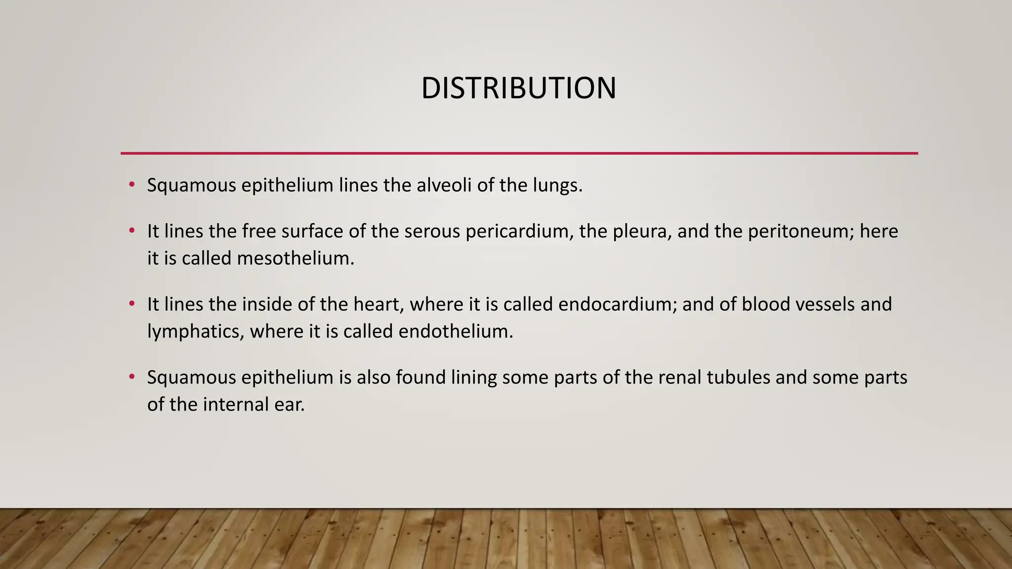 anatomy and physiology of tissue and the functional character | PPT