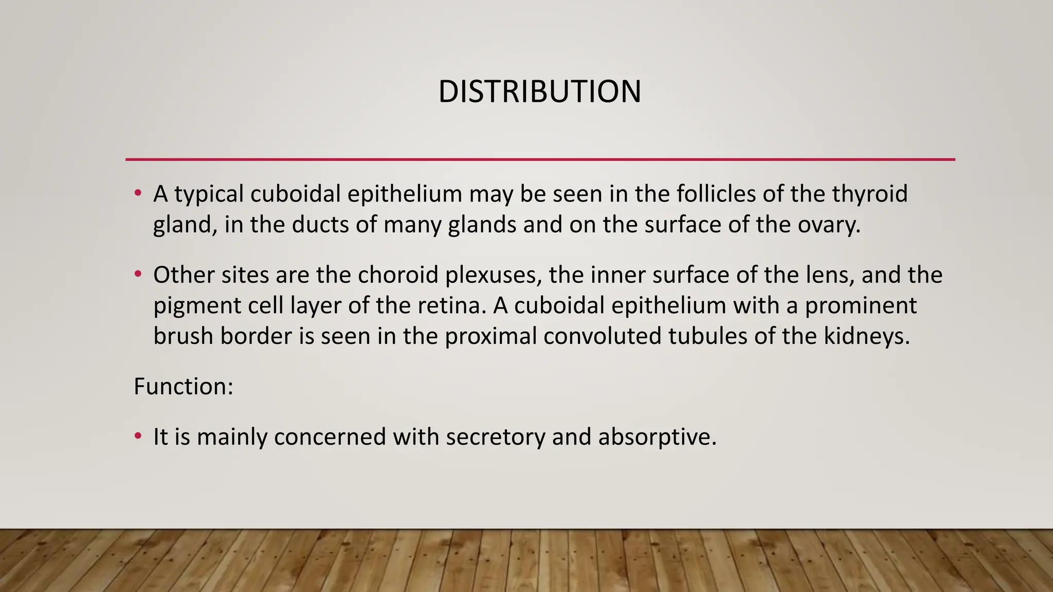 anatomy and physiology of tissue and the functional character | PPT