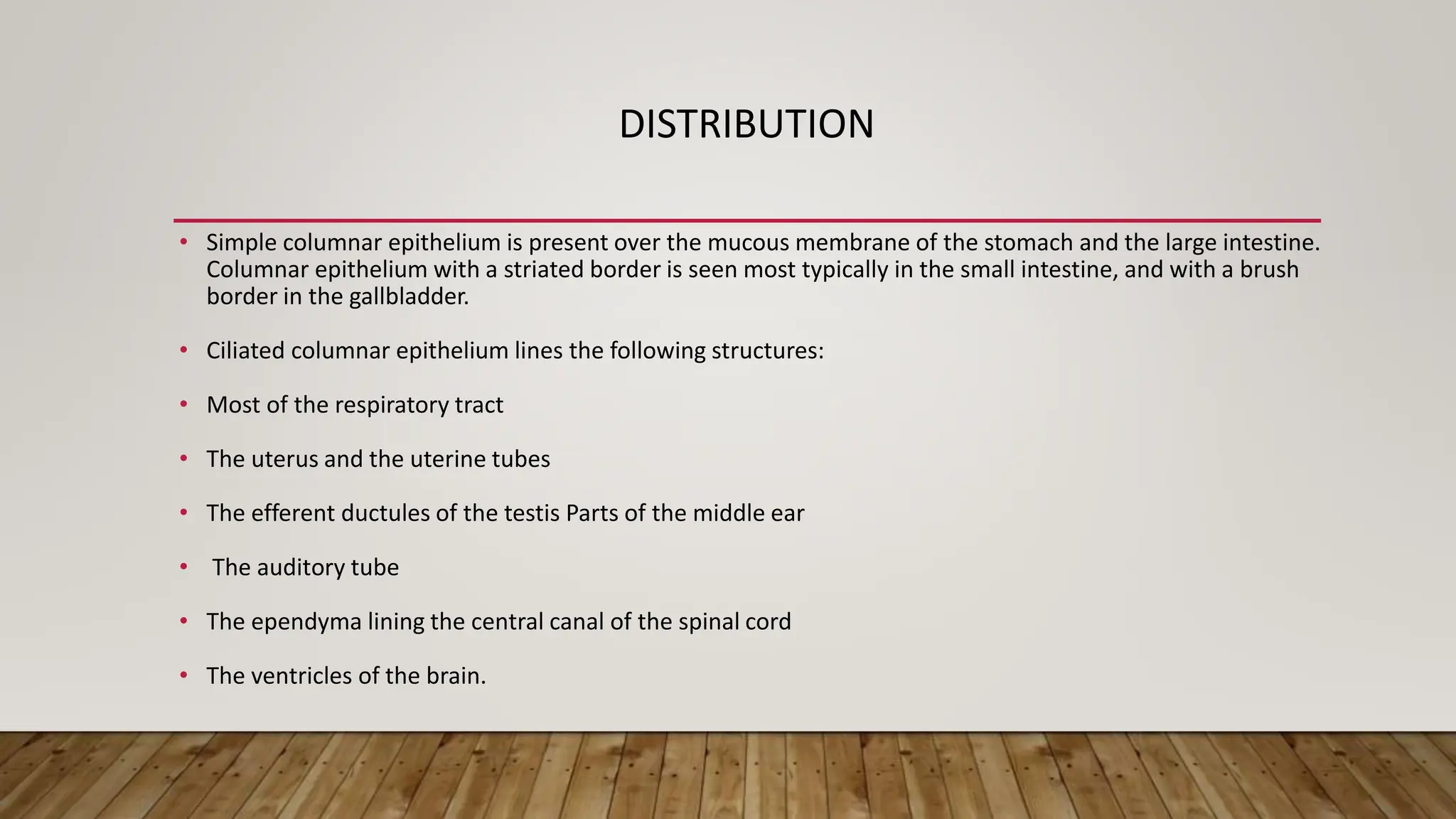 anatomy and physiology of tissue and the functional character | PPT