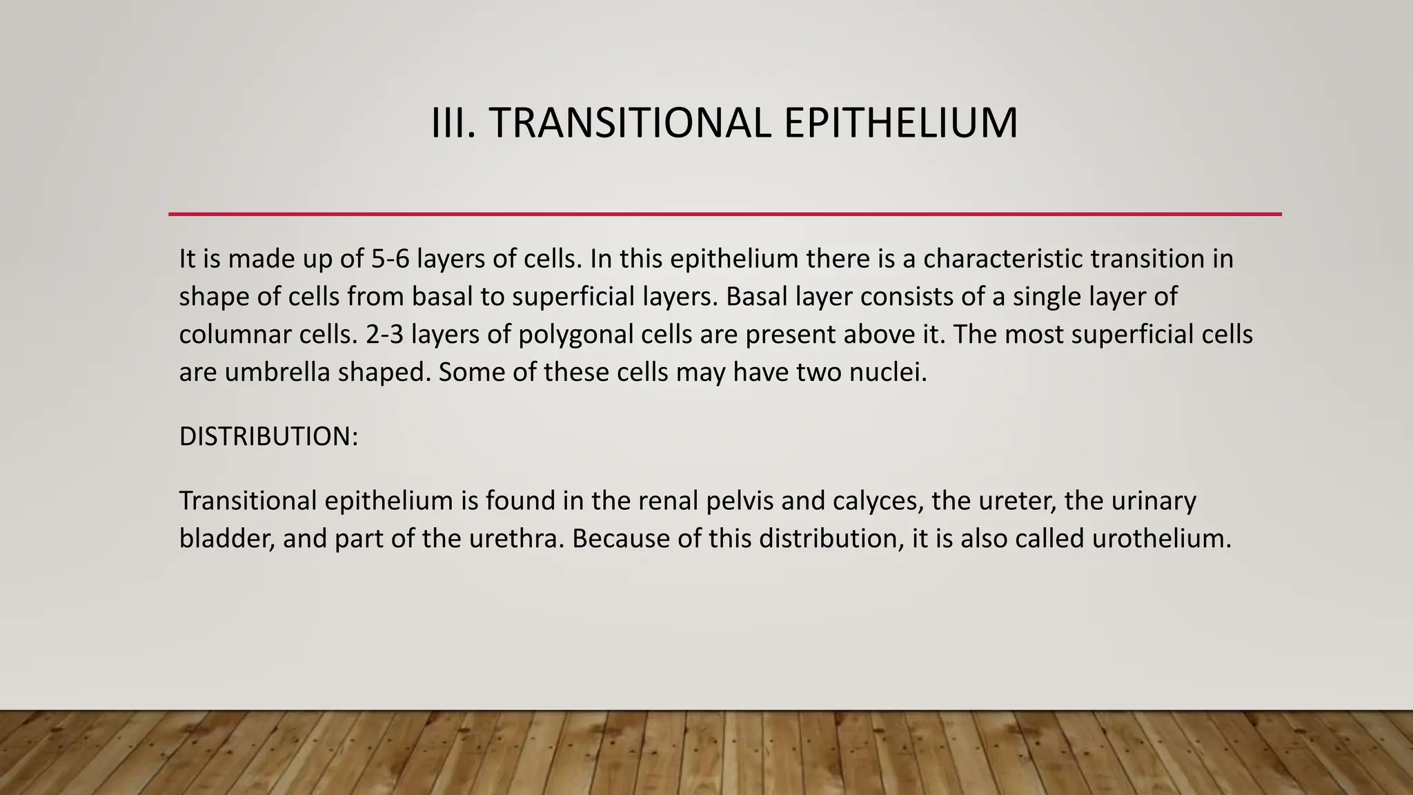 anatomy and physiology of tissue and the functional character | PPT