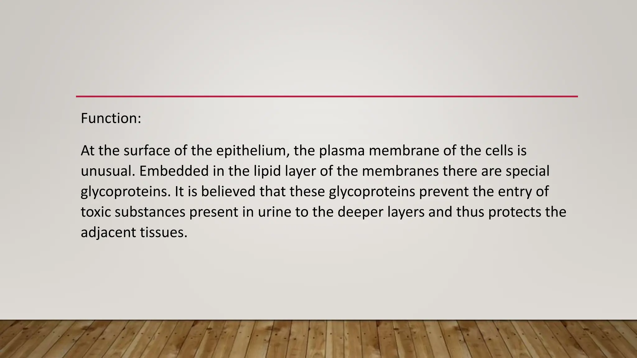 anatomy and physiology of tissue and the functional character | PPT