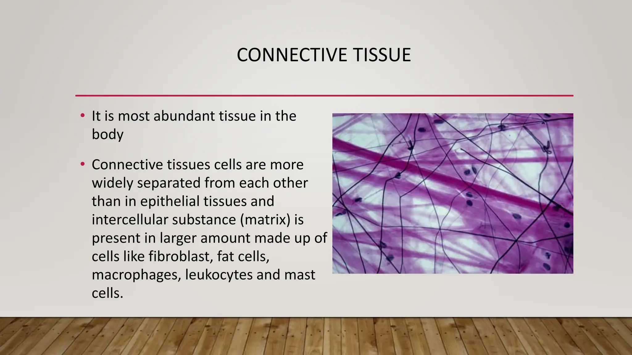 anatomy and physiology of tissue and the functional character | PPT