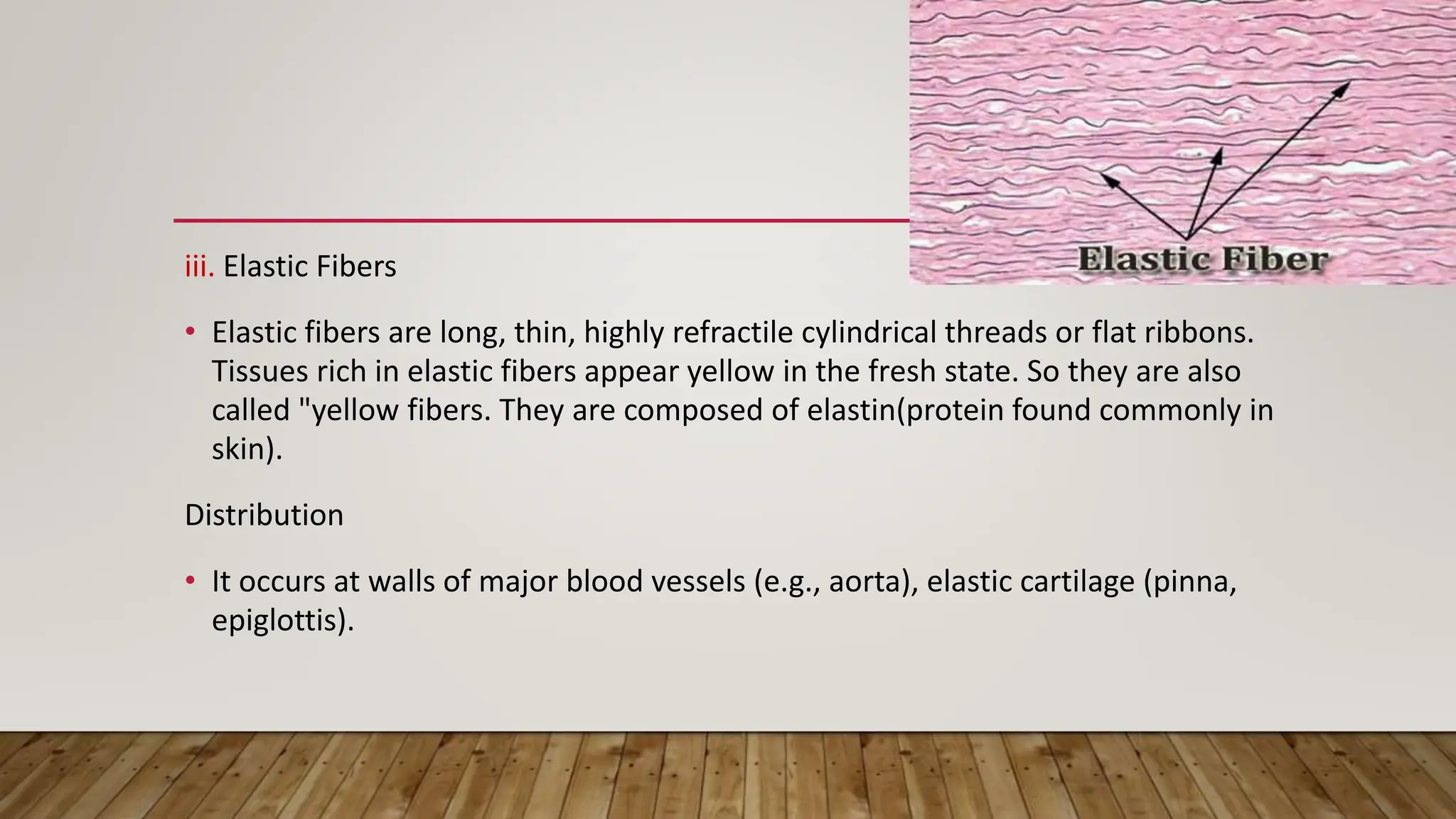 anatomy and physiology of tissue and the functional character | PPT