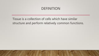 anatomy and physiology of tissue and the functional character | PPTX