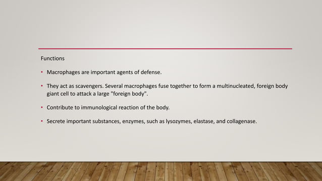 anatomy and physiology of tissue and the functional character | PPT
