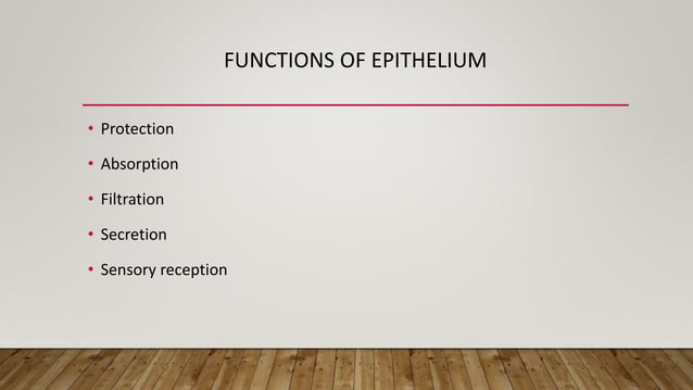 anatomy and physiology of tissue and the functional character | PPT