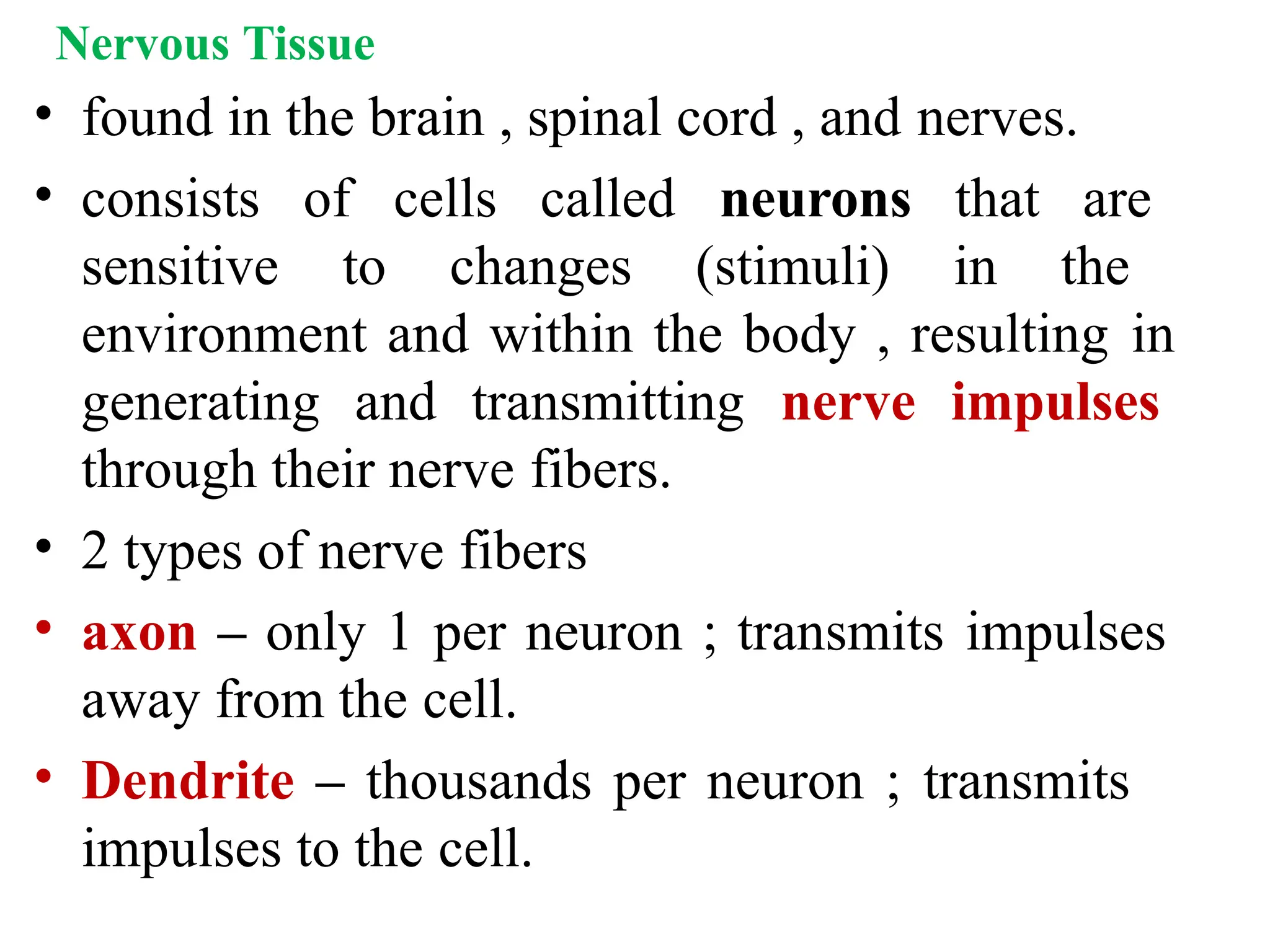 The Tissues: Building Blocks of the Human Body | PPT